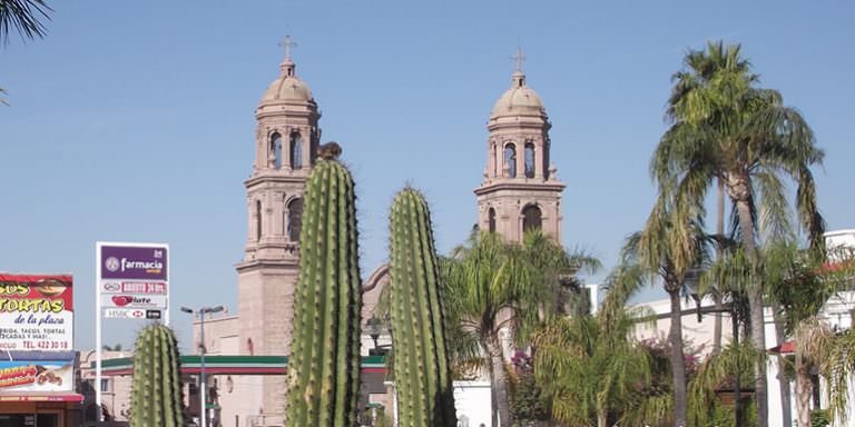 Visit the city of Navojoa in the state of Sonora | Mexican Routes