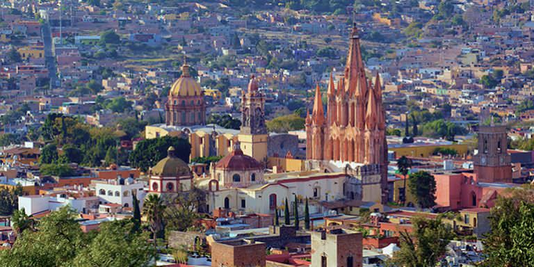 Mexican flora: A biodiverse land of beauty | | Mexican Routes