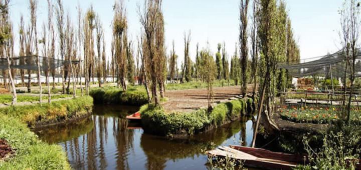 Chinampas | Mexican Routes | Visit and Explore Mexico