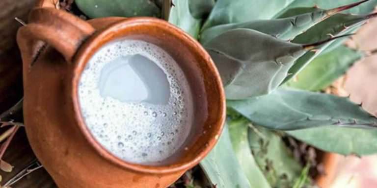 Pulque | | Mexican Routes