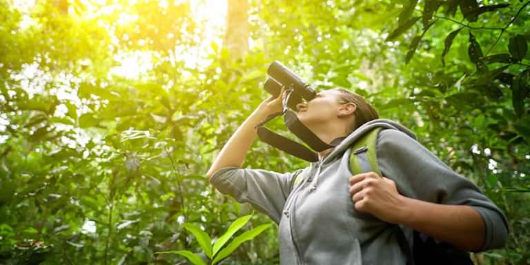 Aztec Flower Wars | History, Battles and Significance | Mexican Routes