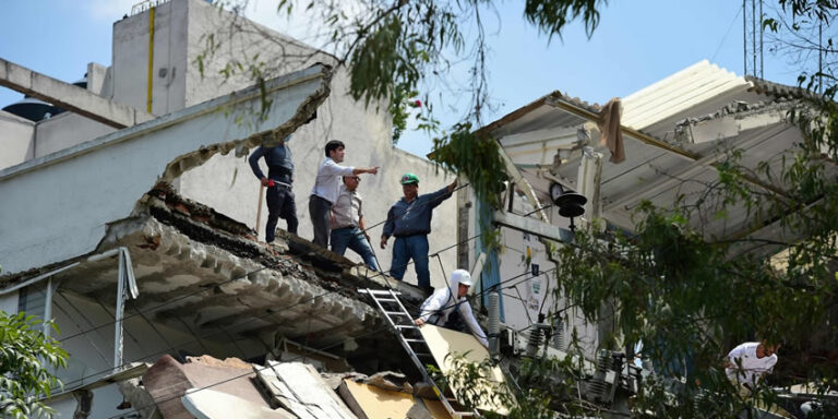 Ahuehuete or Montezuma Cypress: Mexico national tree | Mexican Routes