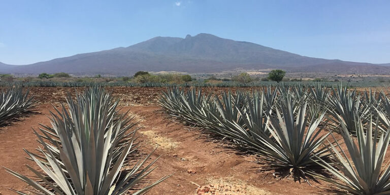 Exploring the Northern Region of Mexico | | Mexican Routes